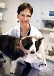 Unconventional Wisdom - Veterinary Practice News