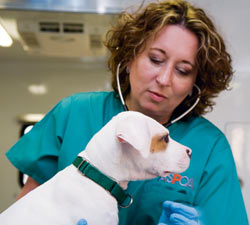 Shelley Epstein's Instagram, Twitter & Facebook on IDCrawl