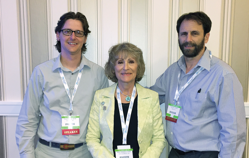 Goldilocks and the Veterinary Profession - Veterinary Practice News