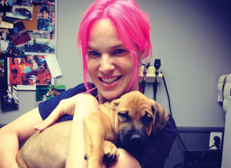 Go Pink? - Veterinary Practice News
