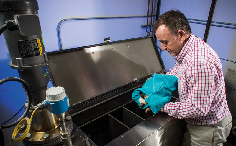 Aquamation: A Dignified, Environmentally Friendly Alternative to Pet ...