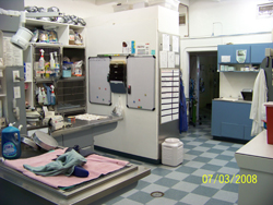 Design Your Practice With Patients In Mind - Veterinary Practice News