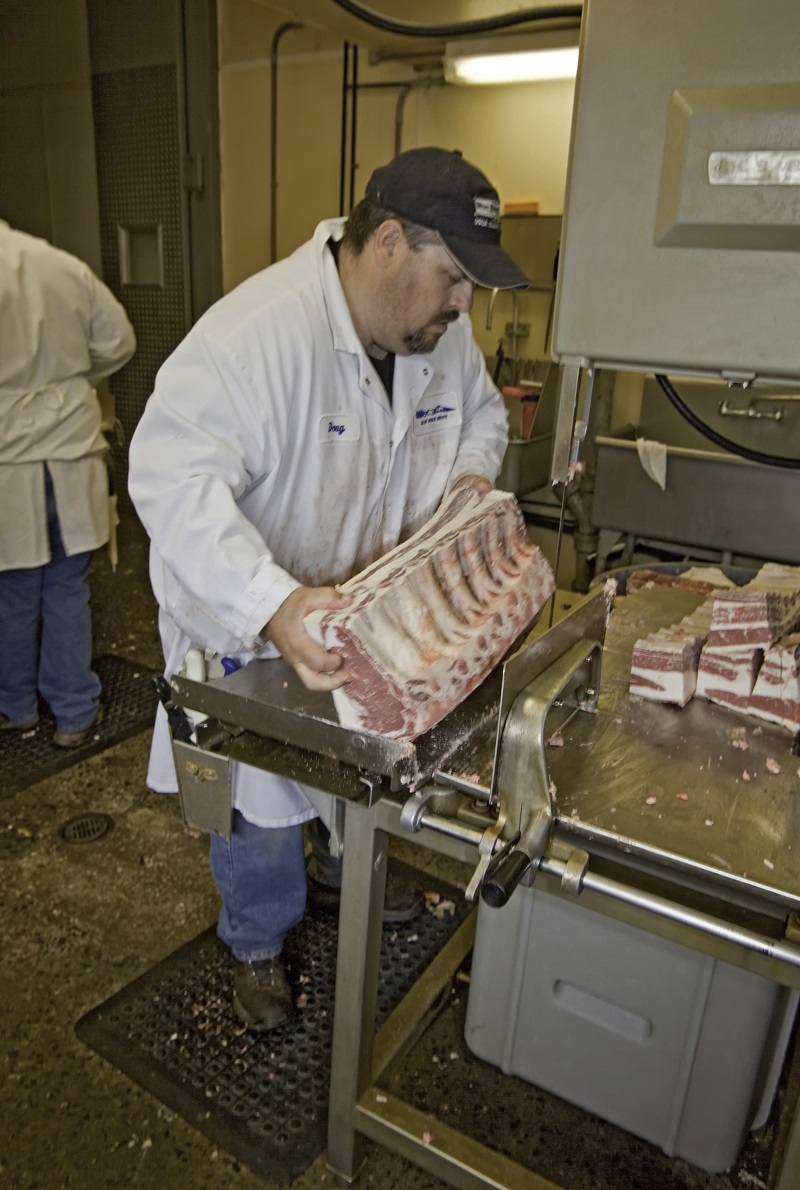 Some Disturbing Food For Thought - Veterinary Practice News