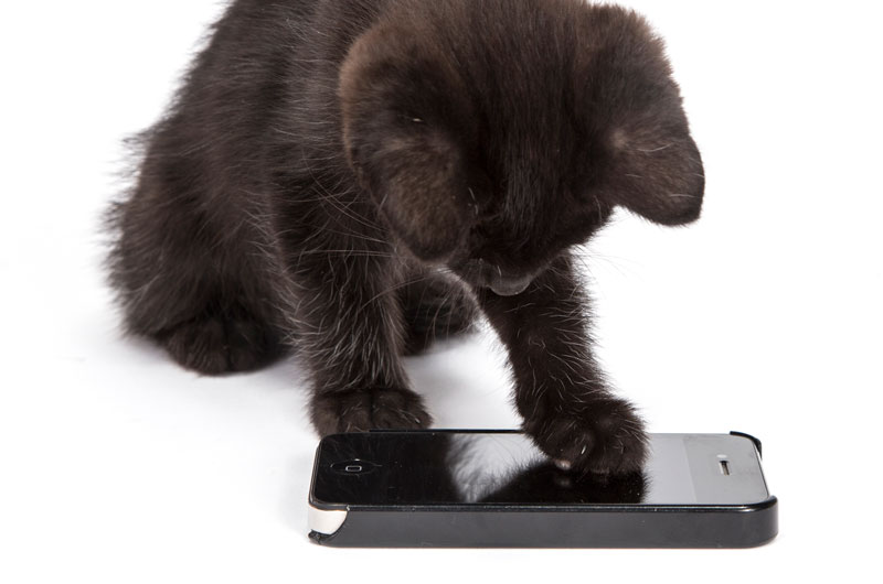 Embrace the World of Veterinary Apps - Veterinary Practice News