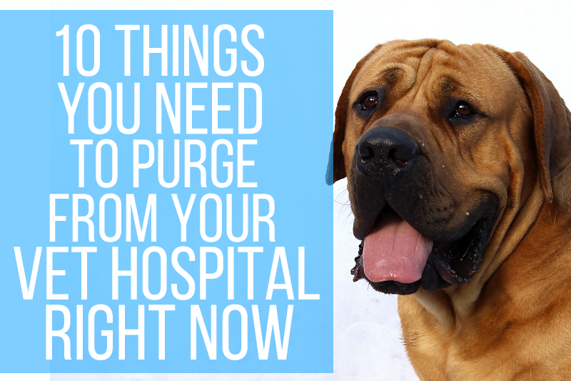 10 things you need to purge from your vet hospital right now ...