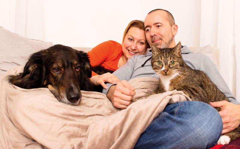Why You Should Get to the Heart of the Human-Animal Bond - Veterinary ...