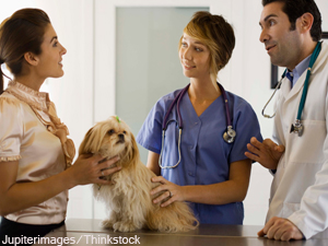 Client-Centricity: A New Veterinary Business Reality - Veterinary ...