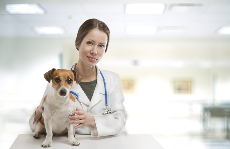 Who in Your Practice has Experienced Compassion Fatigue, Burnout or ...