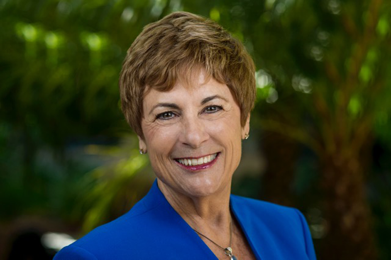 Addressing stress in the veterinary practice with hypnotherapy ...