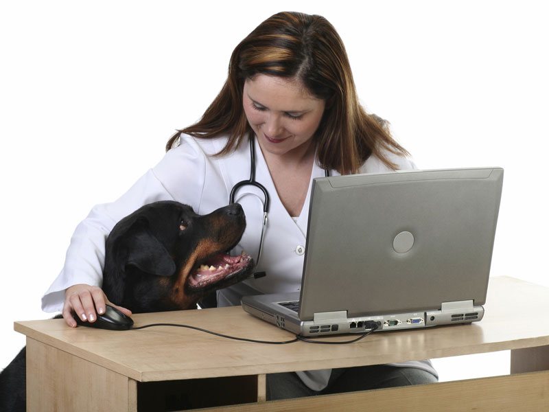 How To Avoid Sad Supervisors - Veterinary Practice News