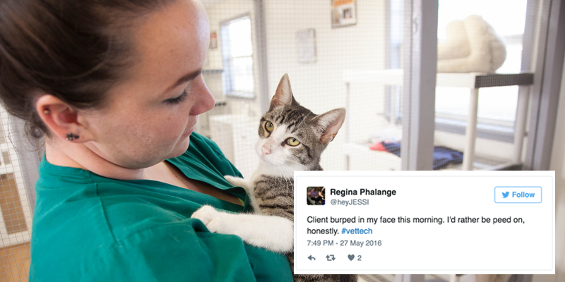 12 tweets that perfectly sum up the vet tech life - Veterinary Practice ...
